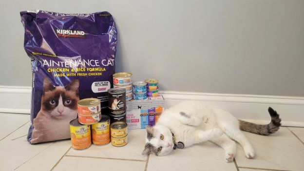 The 10 Best Cheap Cat Foods in 2026 - Cats.com