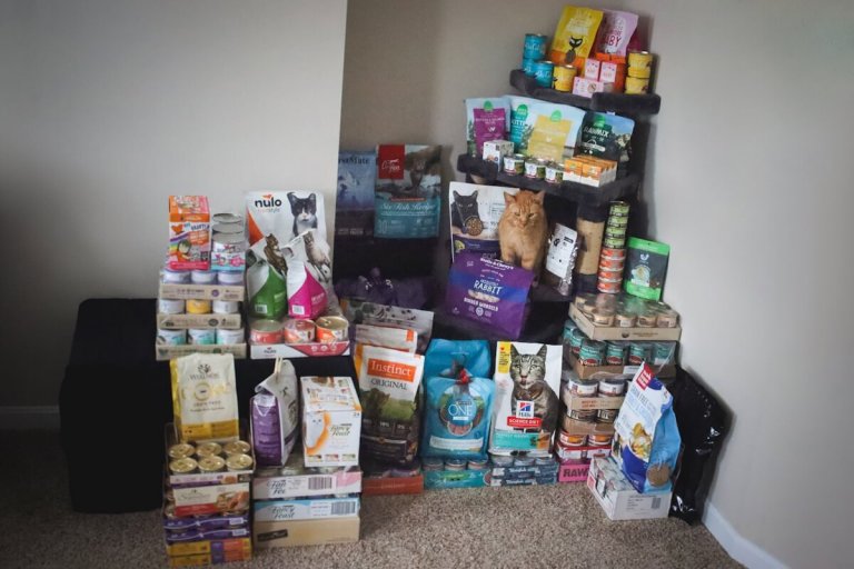 The 8 Best Cheap Cat Foods That Are Affordable and Healthy - Cats.com