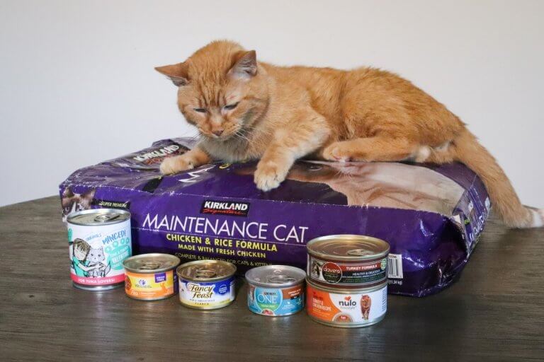 The 7 Best Cheap Cat Foods That Are Affordable and Healthy - Cats.com