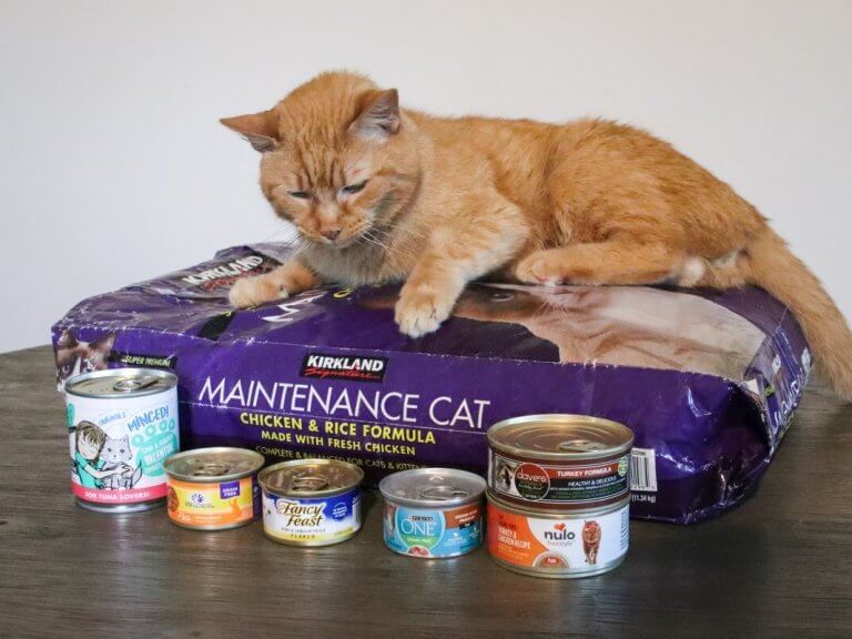 Mallory Crusta, Author at Cats.com