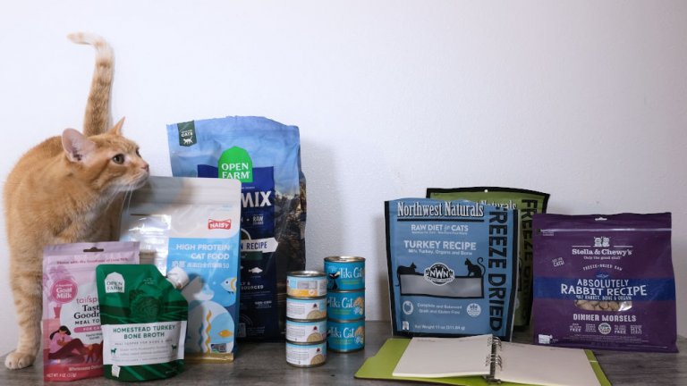 10 Best Cat Foods in 2024: We Tested Them All - Cats.com