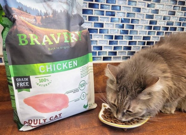 Unbiased Bravery Cat Food Review - Cats.com