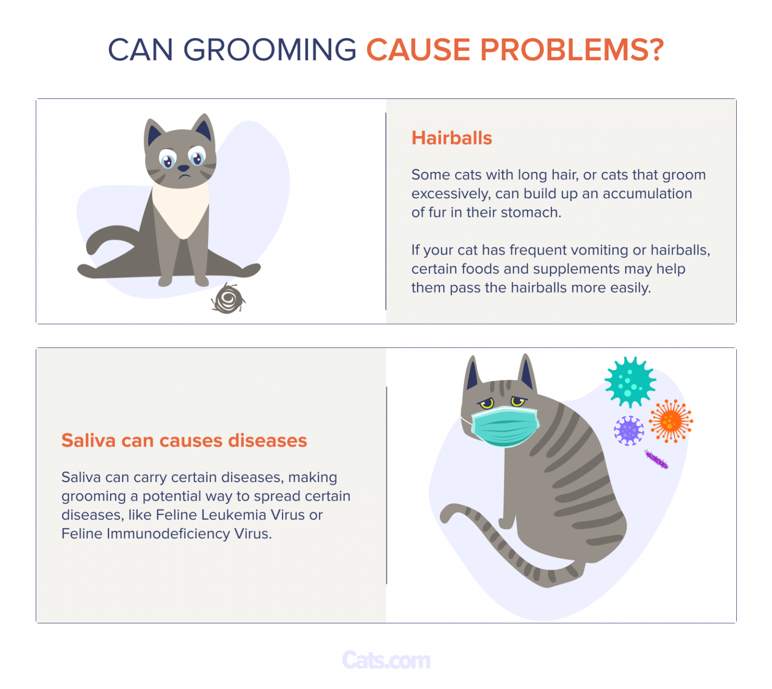 Why Do Cats Groom Each Other? Reasons Why Cats Socially Groom - Cats.com