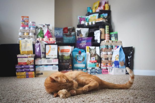 10 Best Healthy Dry Cat Foods: Unbiased Review- Cats.com