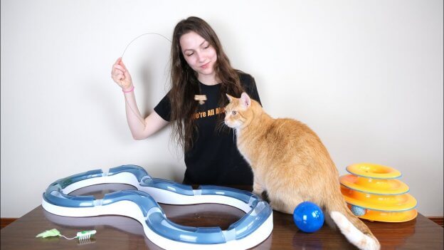 The 12 Best Cat Toys: Keep Your Cat Fit And Happy With These ...