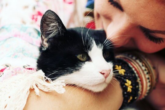 100 Hippie Cat Name Ideas With Meanings - Cats.com