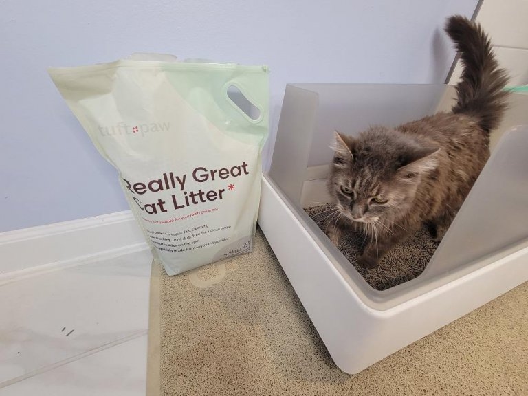 Terrific Really Great Cat Litter Review Gallery