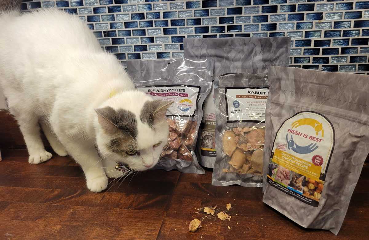 Unbiased Fresh Is Best Cat Food Review - Cats.com