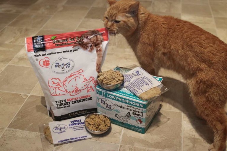 Unbiased My Perfect Pet Cat Food Review - Cats.com