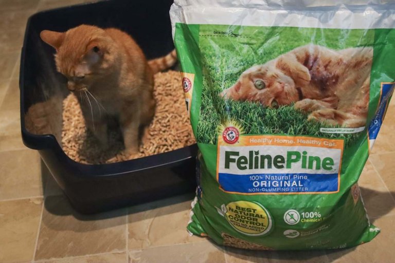 Unbiased Feline Pine Cat Litter Review - Cats.com