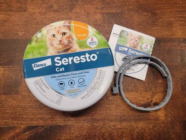 What is The Best Flea Collar For Cats? Cat Expert Explains...