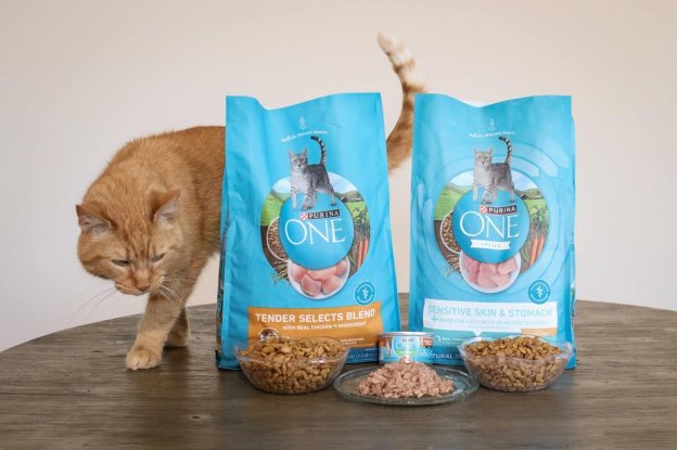 Unbiased Purina One Cat Food Review In 2026 - Cats.com
