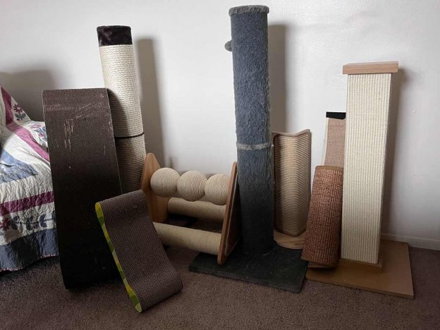 How to Get Your Cat to Use a Scratching Post - Cats.com