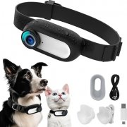 Are Cat Collar Cameras Worth It? We Tested Them to Find Out - Cats.com