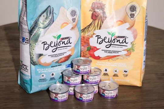 Unbiased Purina Beyond Cat Food Review - Cats.com