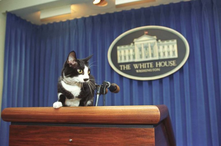11 American Presidents Who Had Cats at the White House - Cats.com
