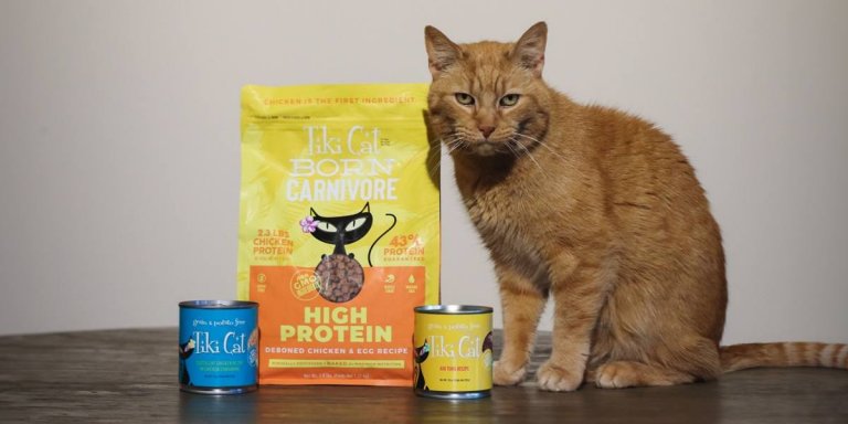 Unbiased Tiki Cat Cat Food Review - Cats.com