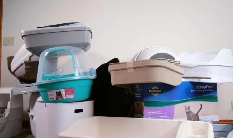 A Complete Guide to the Different Types of Litter Boxes - Cats.com