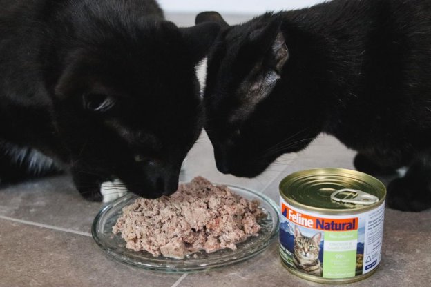 Unbiased Feline Natural Cat Food Review - Cats.com