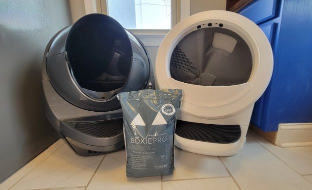 7 Cat Litters That Work Best With the Litter-Robot - Cats.com