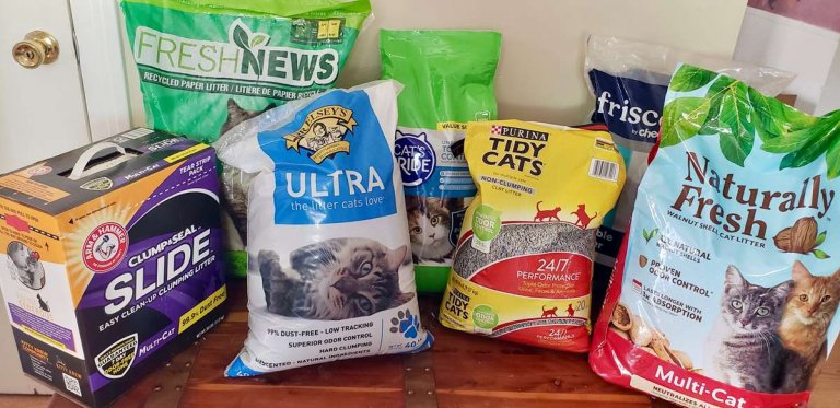 The 9 Best Affordable Cat Litters: Purchased and Tested - Cats.com