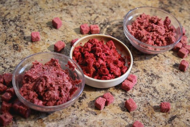 Raw Dynamic Cat Food Review - Cats.com