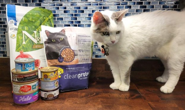 10 Best Cat Foods for Senior Cats - Cats.com