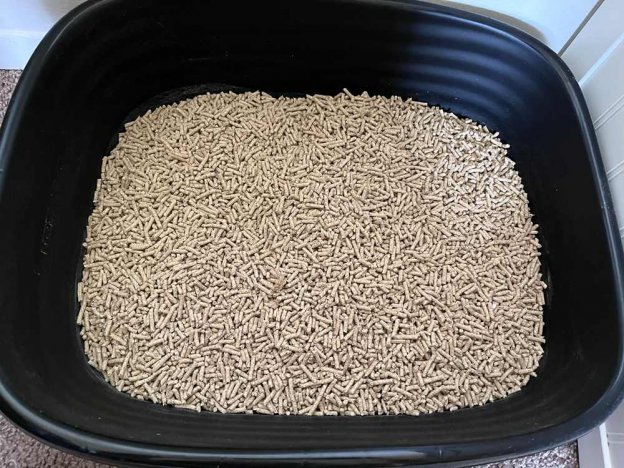 WERUVA Classic Fresh Scented Clumping Wood Cat Litter Review - Cats.com