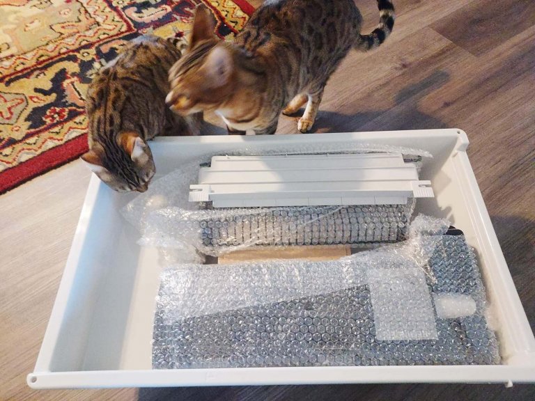 Pet Zone Smart Scoop Automatic Self-Cleaning Cat Litter Box Review ...