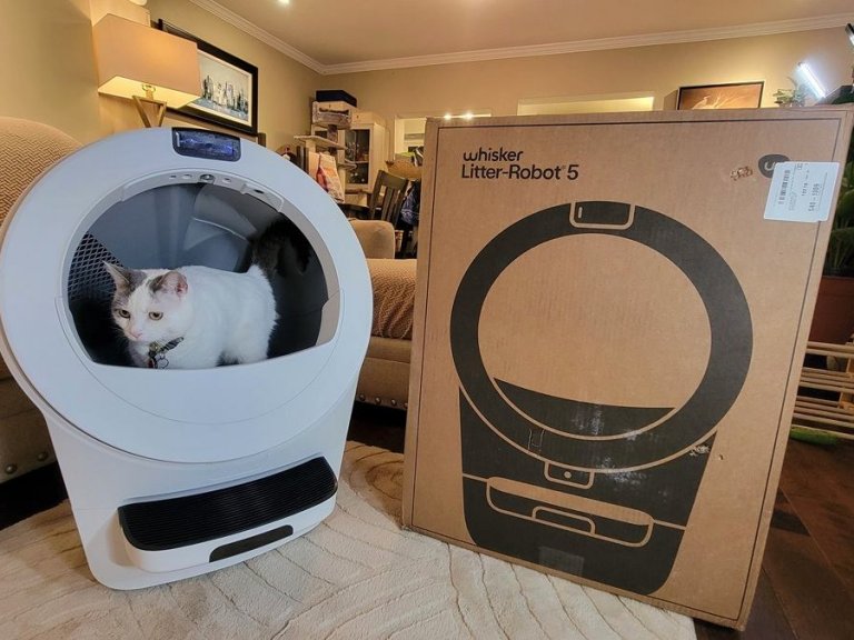 Unbiased ModKat Top Entry Litter Box Review - Cats.com
