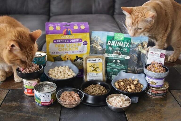10 Best Cat Foods: We Tested Them All - Cats.com