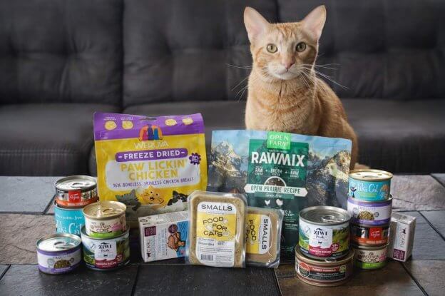 10 Best Cat Foods: We Tested Them All - Cats.com
