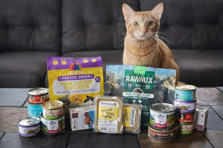 10 Best Cat Foods: We Tested Them All - Cats.com