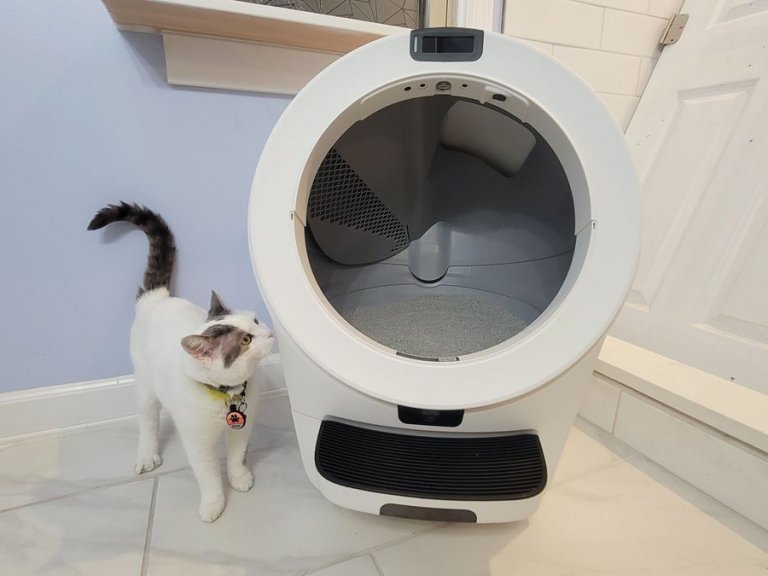 Unbiased ModKat Top Entry Litter Box Review - Cats.com