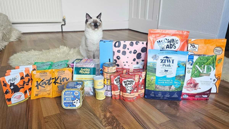 10 Best Cat Foods in the UK for 2026 - Cats.com
