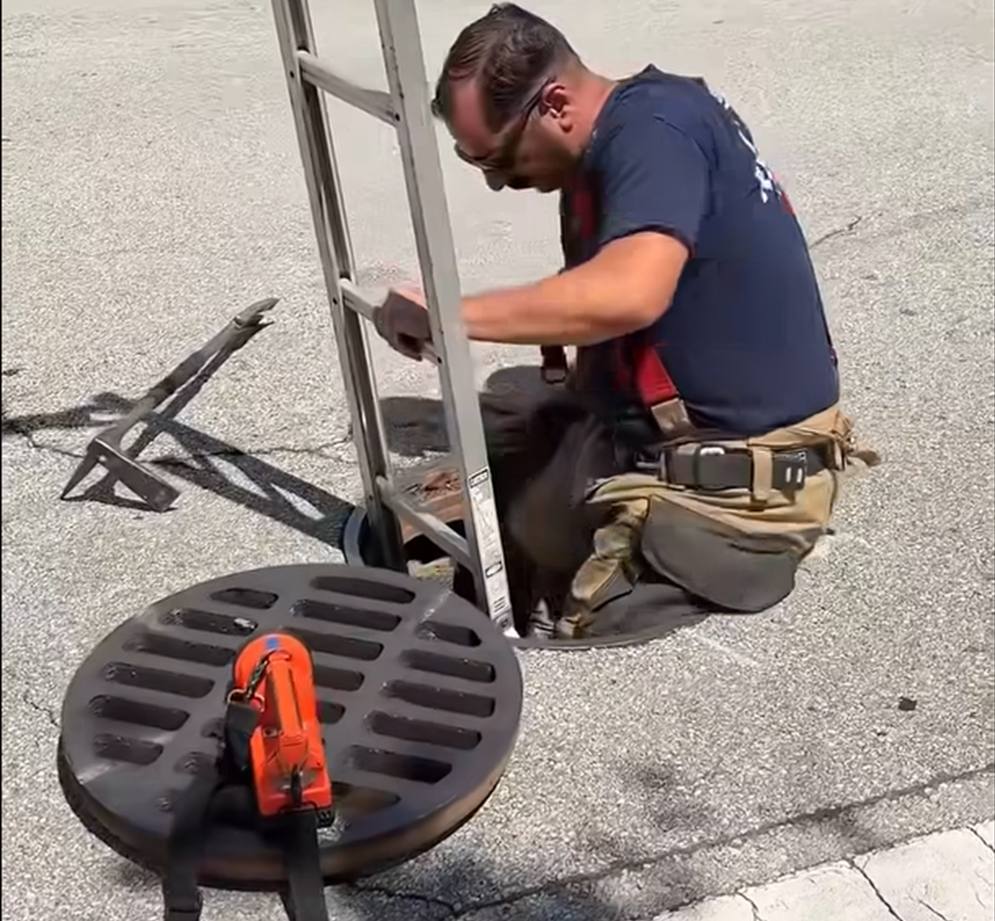 Kittens Keep Turning up in Storm Drains, and Firefighters Rescue Them ...
